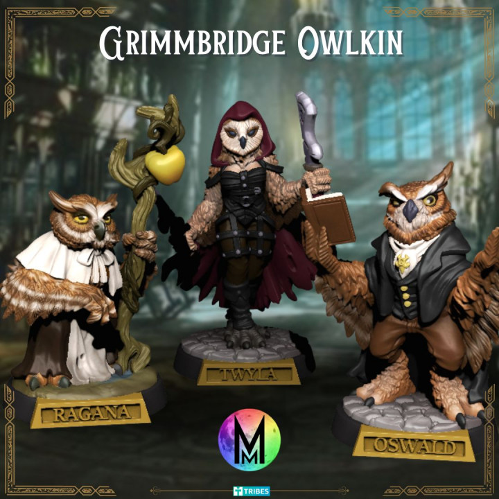 3D Printable Owlkin of Grimmbridge - Owlkin Rogue, Owlkin Wizard ...