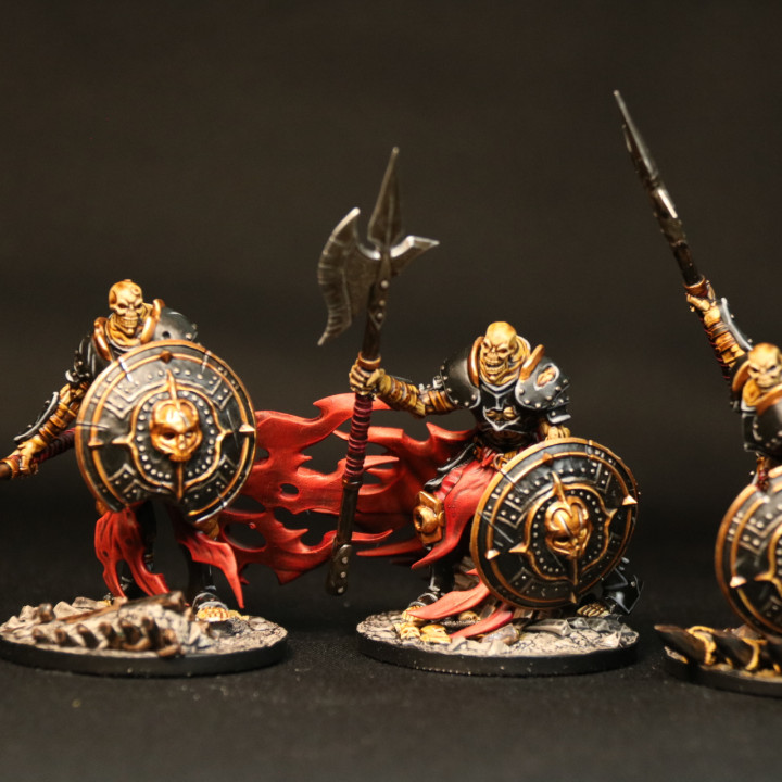 3D Print of Cryptguard by pvignard