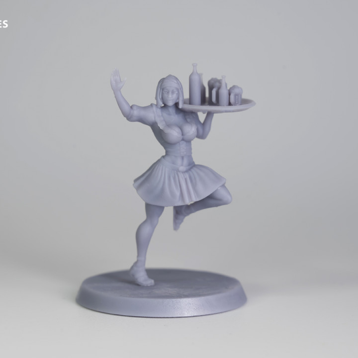 3D Printable Barmaids Bundle by PSMiniatures