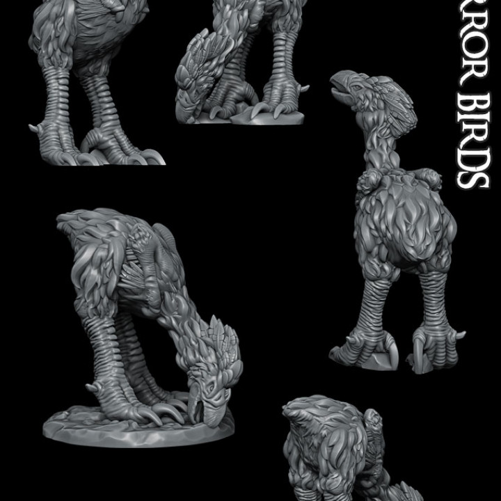 3D Printable Terror Birds by RocketPigGames