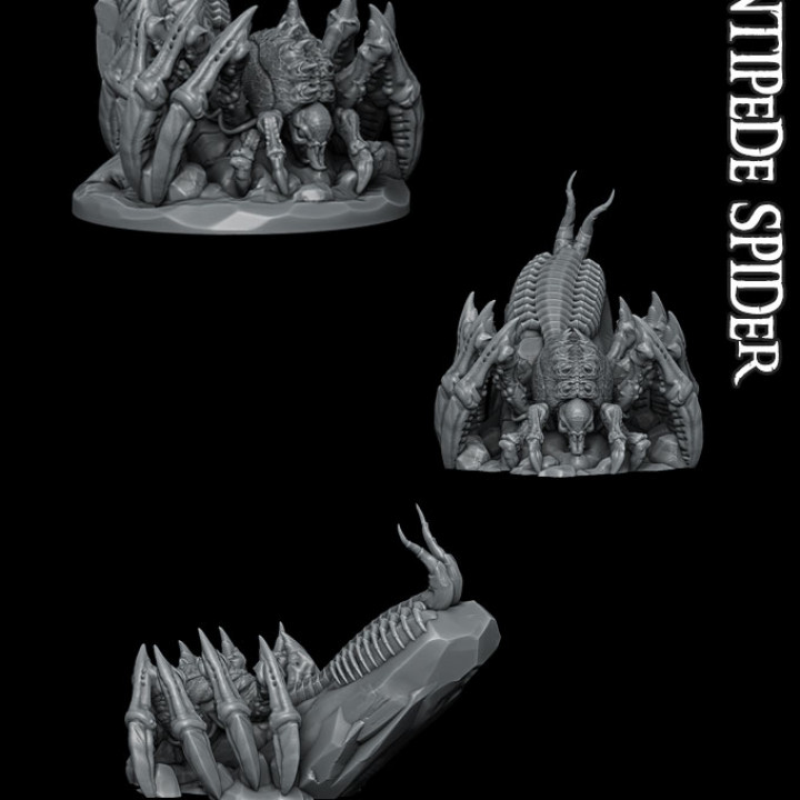 3D Printable Centipede Spider by RocketPigGames