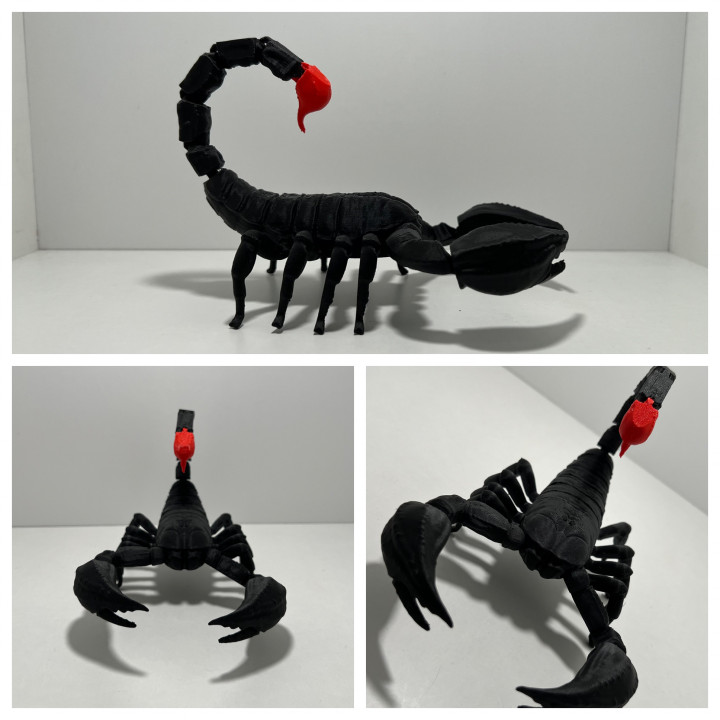3D Print of REALISTIC ARTICULATED SCORPION by JanBerlin