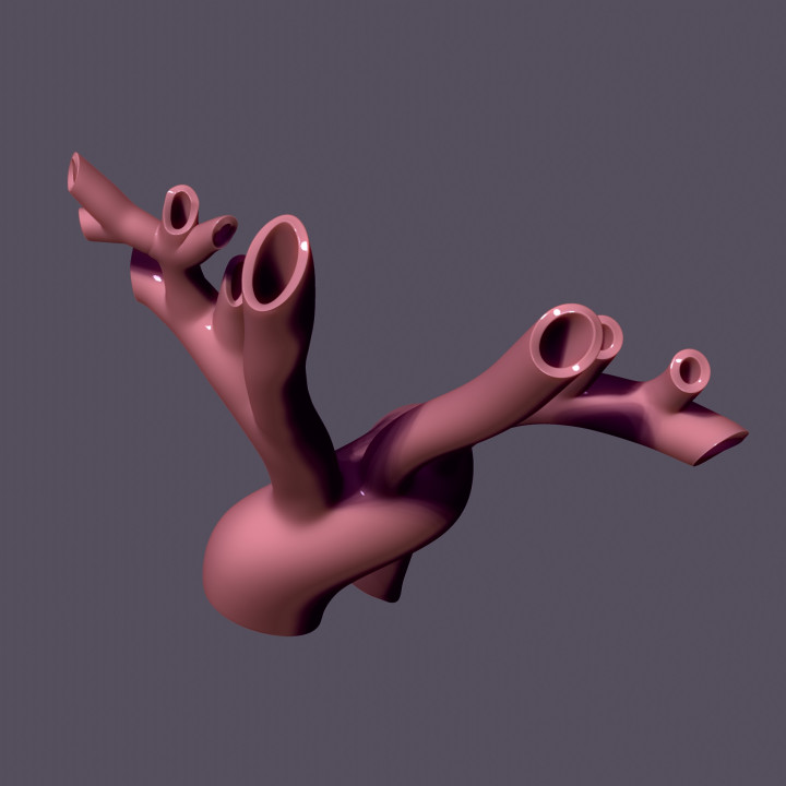 3D Printable human aorta by Viktoriya Kabanova